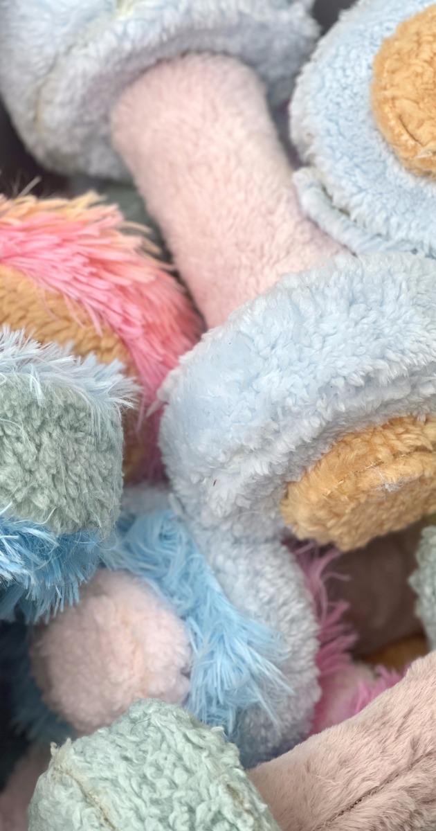 Ein Kraftakt mit Haken: Raumkunst im Museümli | W&O