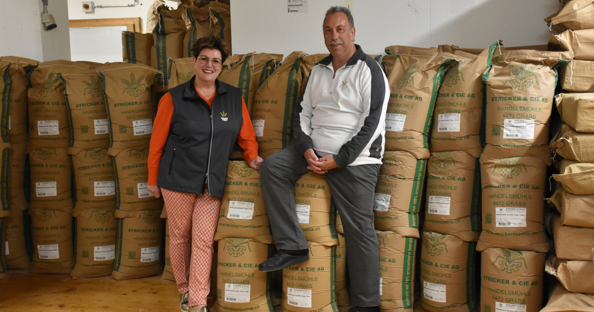 Bei der Stricker Mühle trifft Tradition auf Hightech | W&O