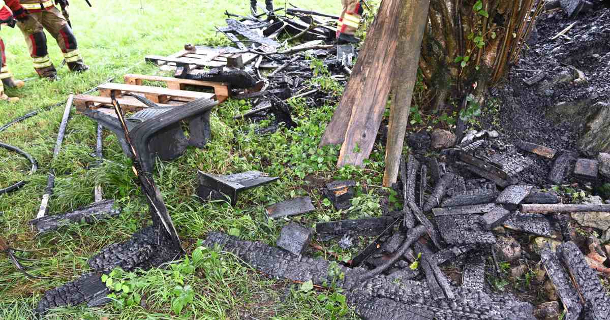 Familie bemerkt Brand einer Baumhütte | W&O