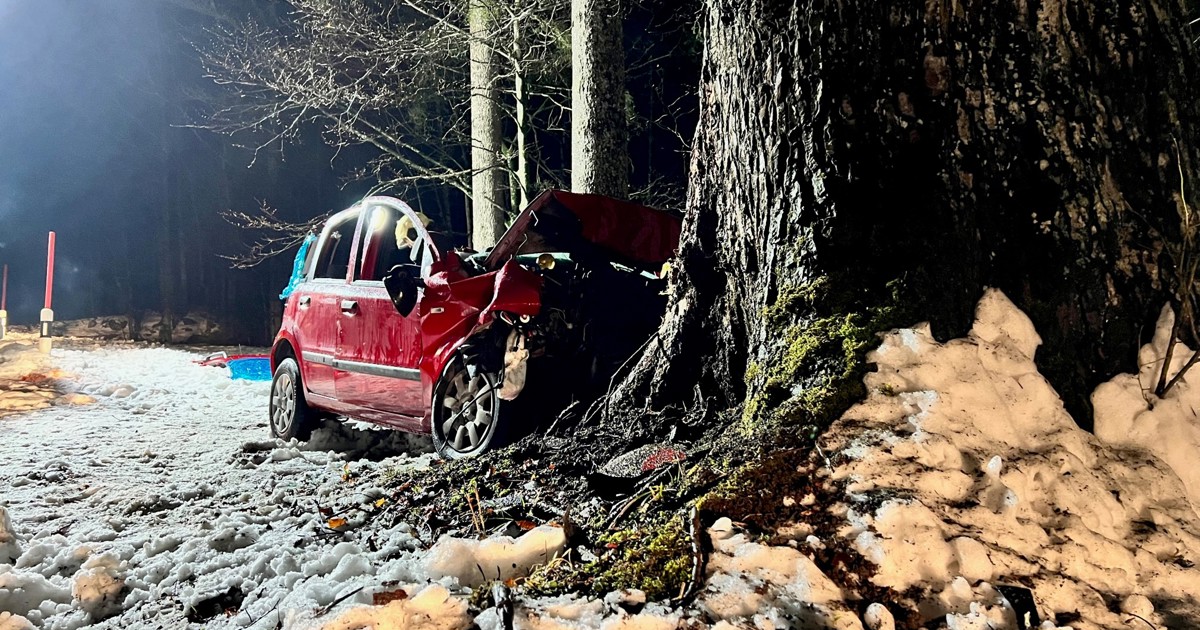 65-Jähriger prallt mit Auto frontal gegen einen Baum | W&O