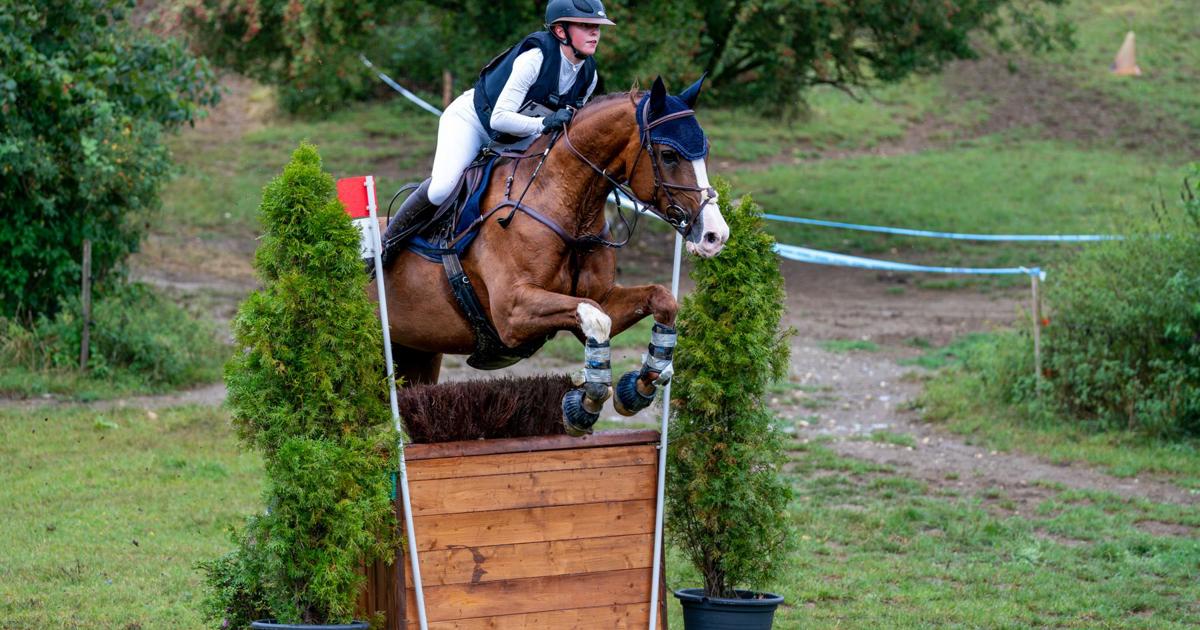 Concours Complet: Sina Schett erhält Platz im Kader | W&O