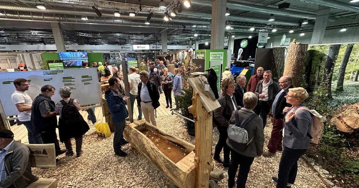 «Dahei» und «dähei» chancenlos gegen «dihei» | W&O