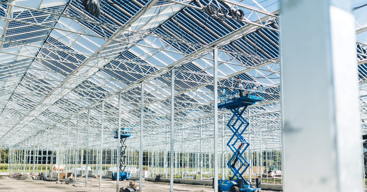 Eine PV-Anlage, die ihresgleichen sucht | W&O