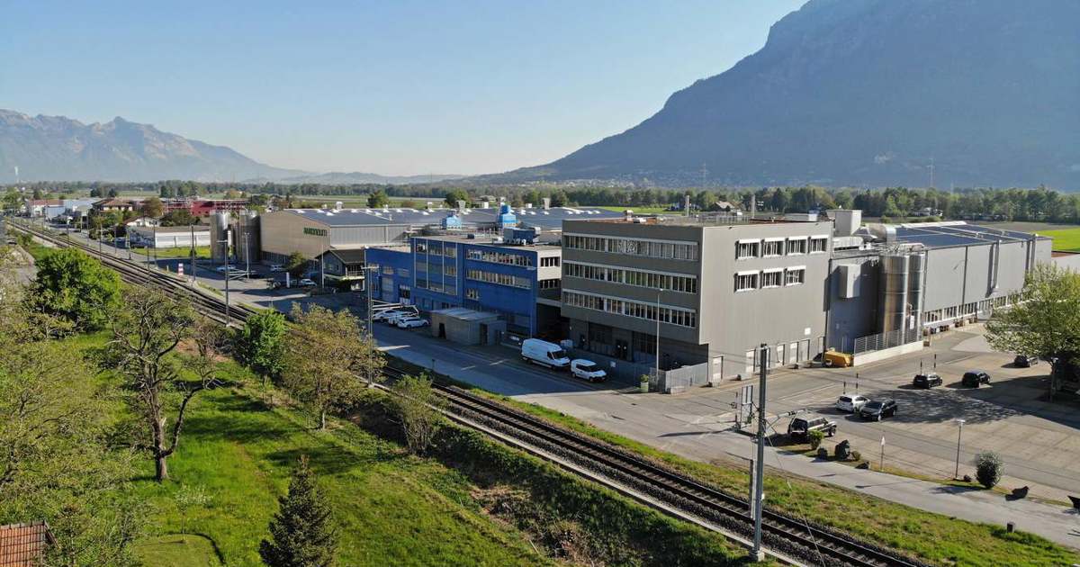 Chipmangel bremst Autoneum aus | W&O