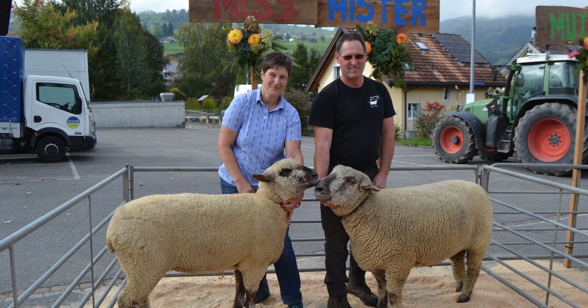 Ria und Bocelli sind die Schönsten | W&O