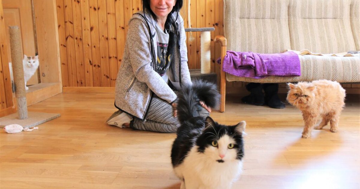 Ein langer Weg bis ins Toggenburg: Mit sechs Katzen aus Kiew geflohen | W&O