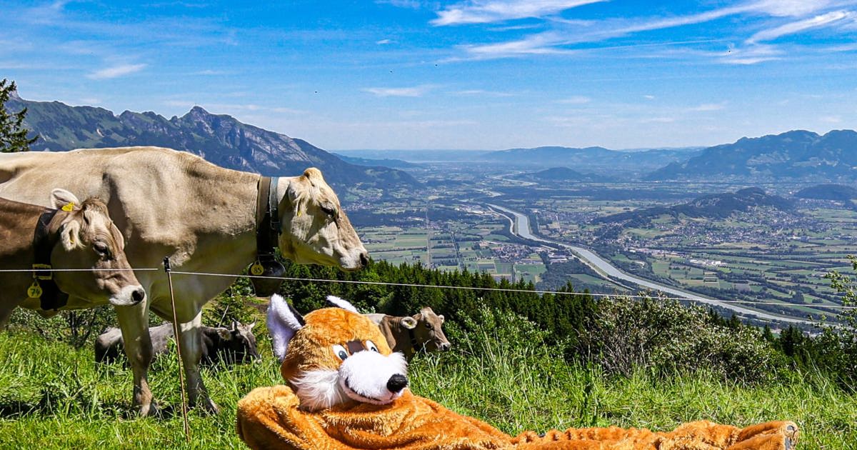 Der «Schlaue Fuchs» von Buchs kommt gut an | W&O